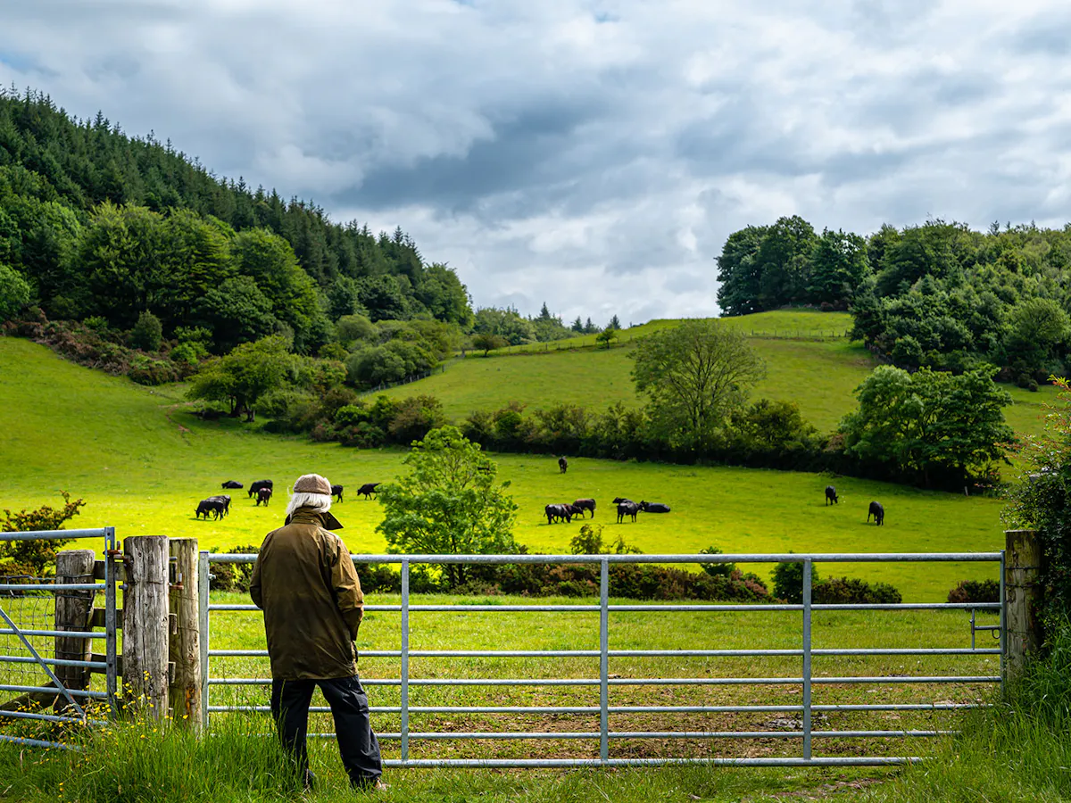 More detail on business and agricultural IHT reliefs threshold cut ...